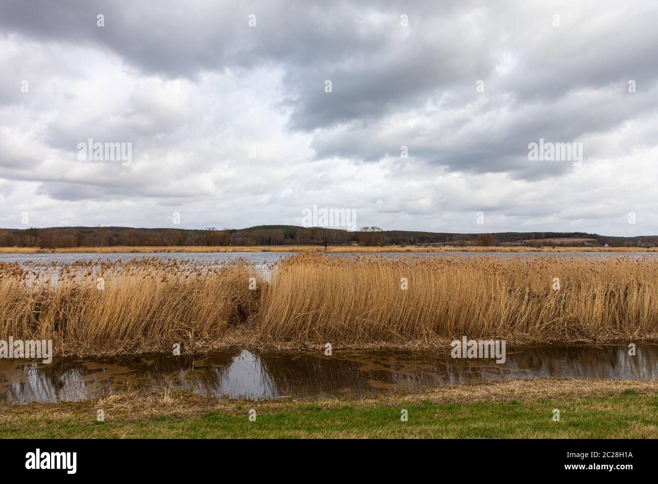 Oder landscape hi-res stock photography and images - Alamy