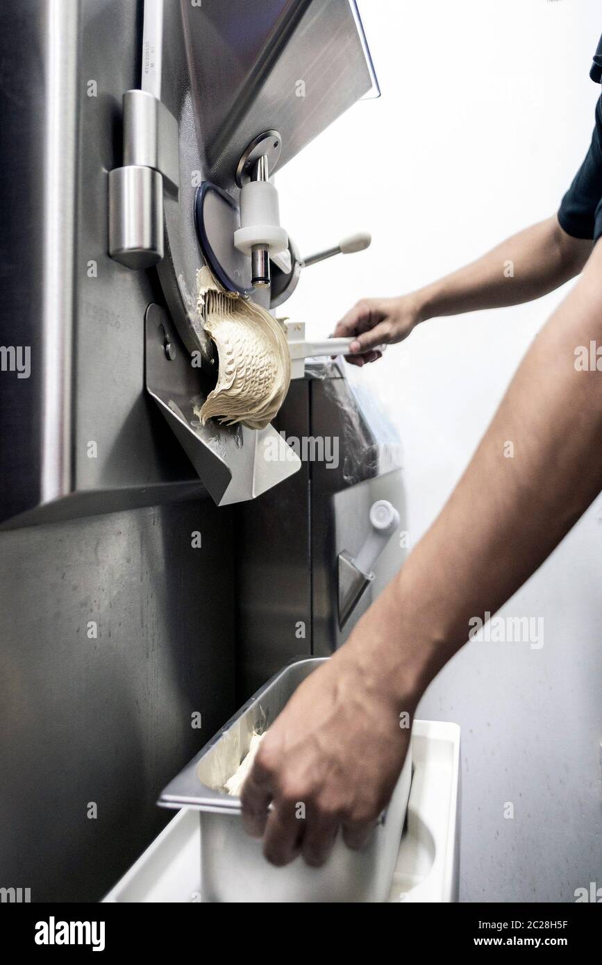 making gelato ice cream with modern professional equipment preparation ...