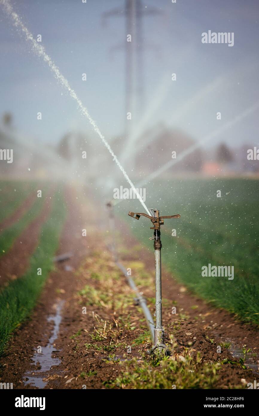 Irrigation plant system on a field, agriculture and plants Stock Photo ...