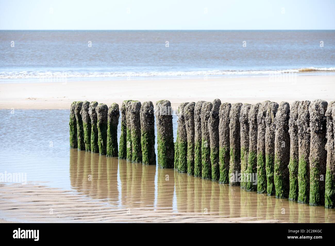 Old wooden sea groynes hi-res stock photography and images - Alamy