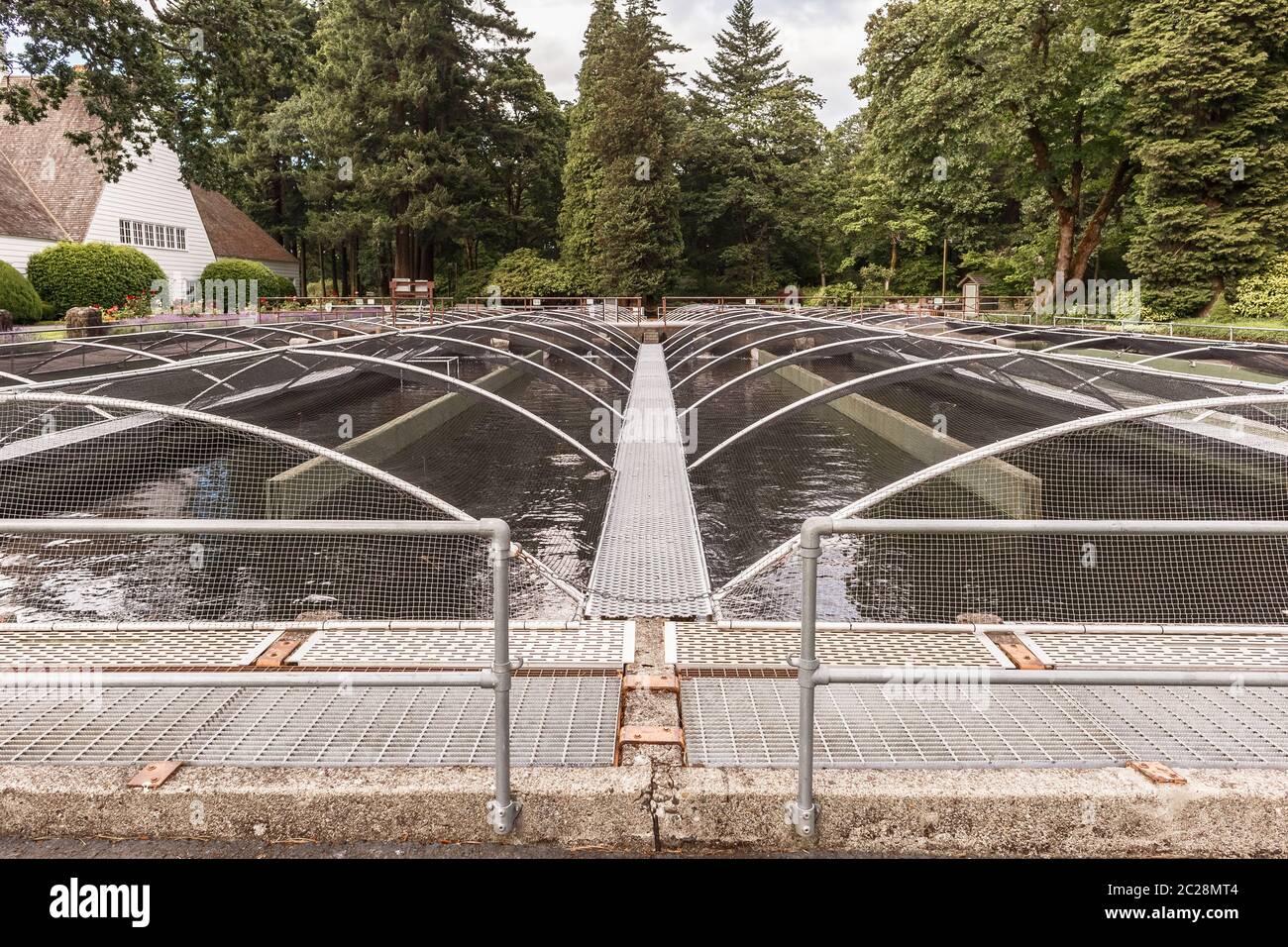 Cascade Locks, Oregon - June 26, 2018: Basins in Bonneville Fish ...