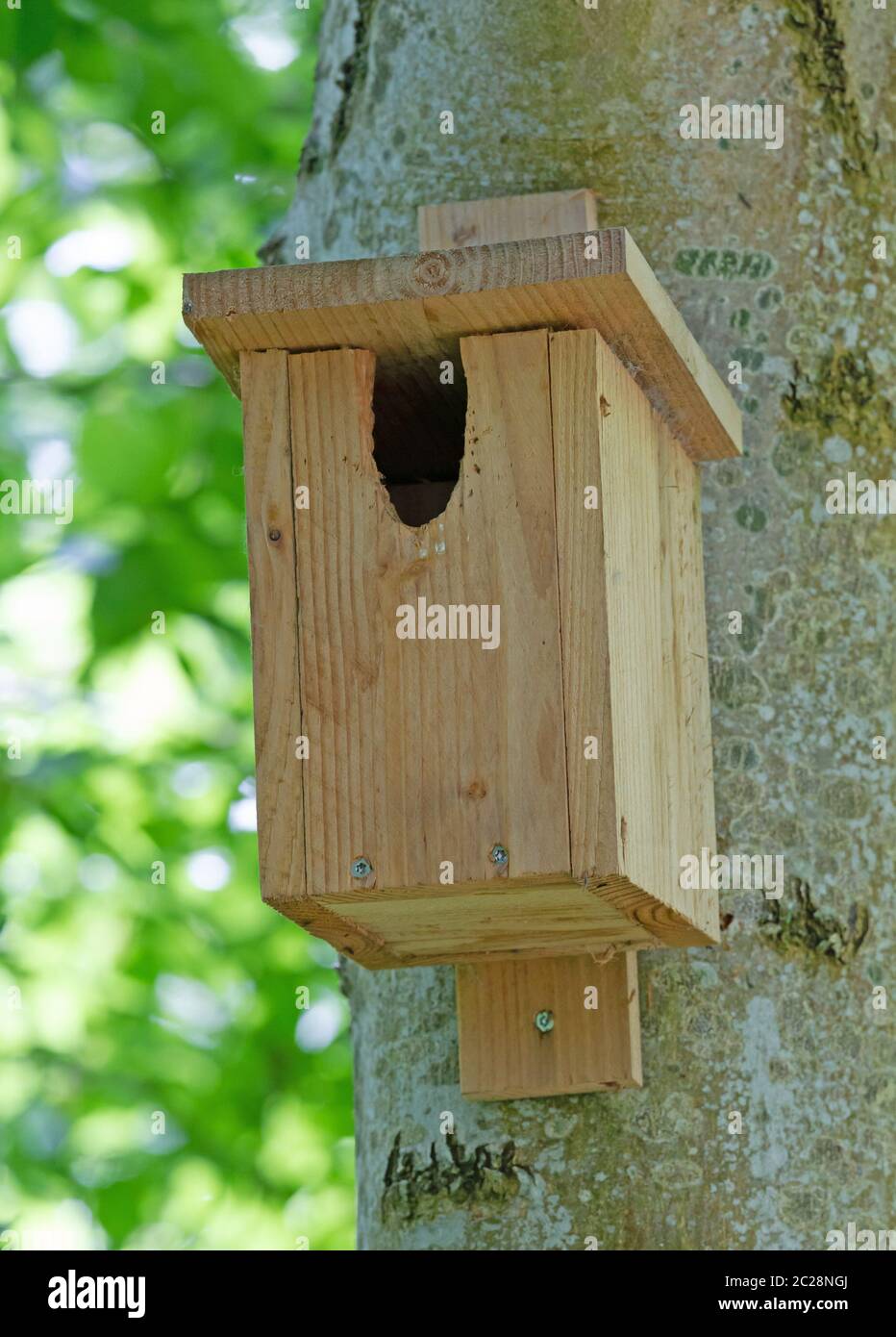 Wooden birdbox on tree hi-res stock photography and images - Alamy