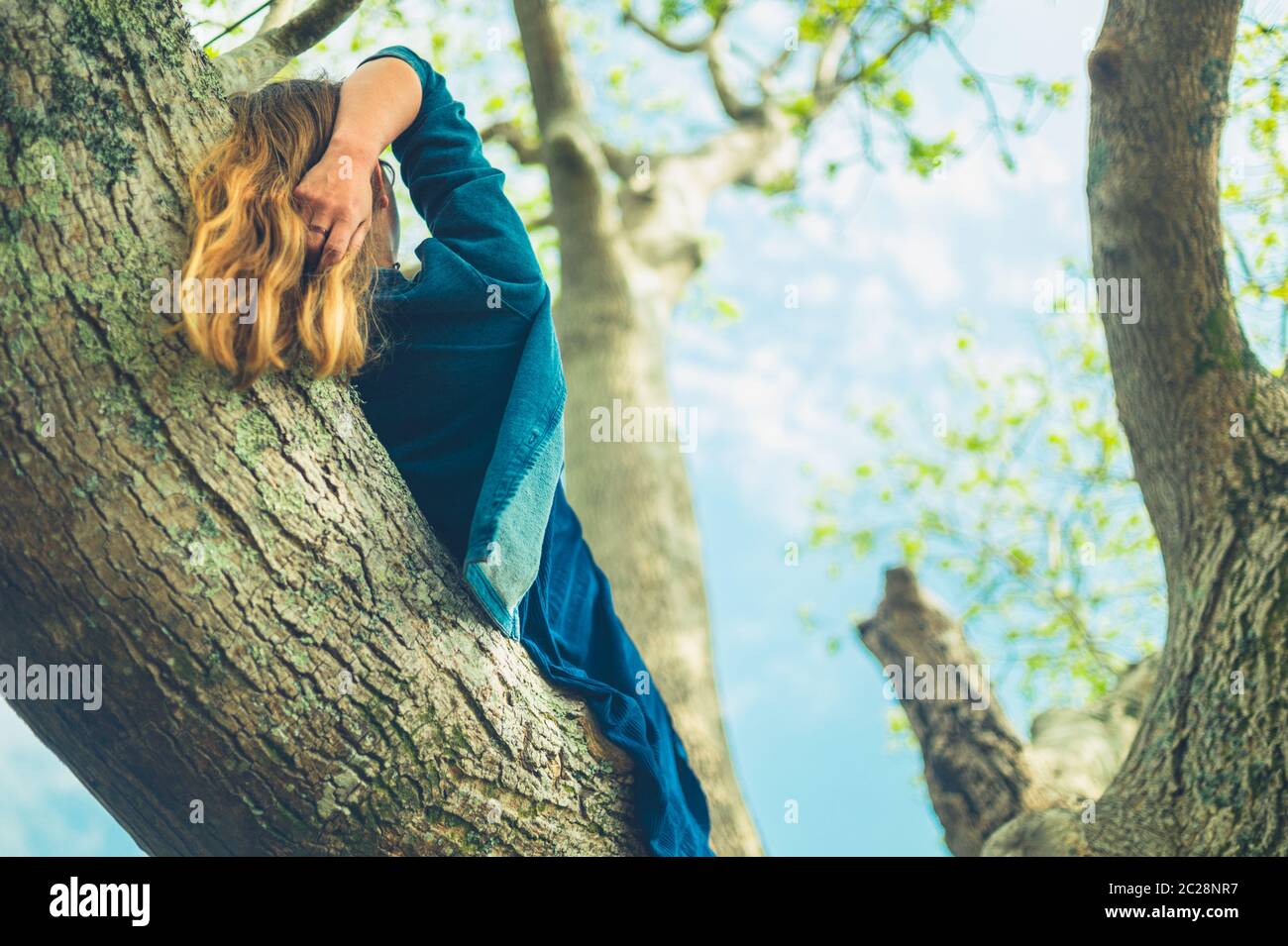 Woman lying on tree branch hi-res stock photography and images - Alamy