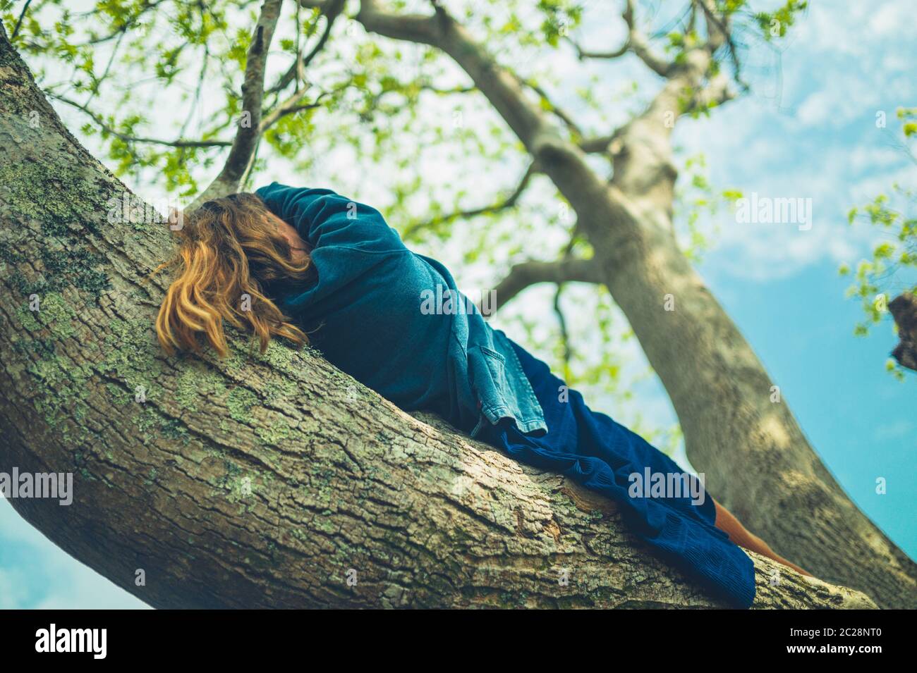 Woman lying on tree branch hi-res stock photography and images - Alamy