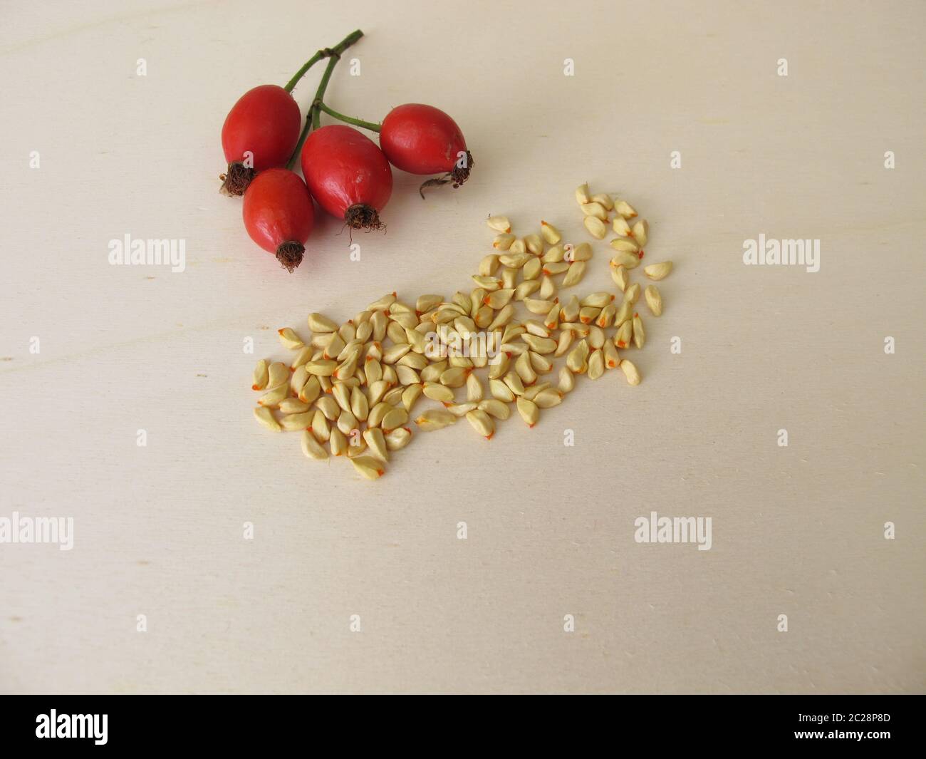 Rosehip seeds - kernels from the wild fruit dog rose Stock Photo - Alamy