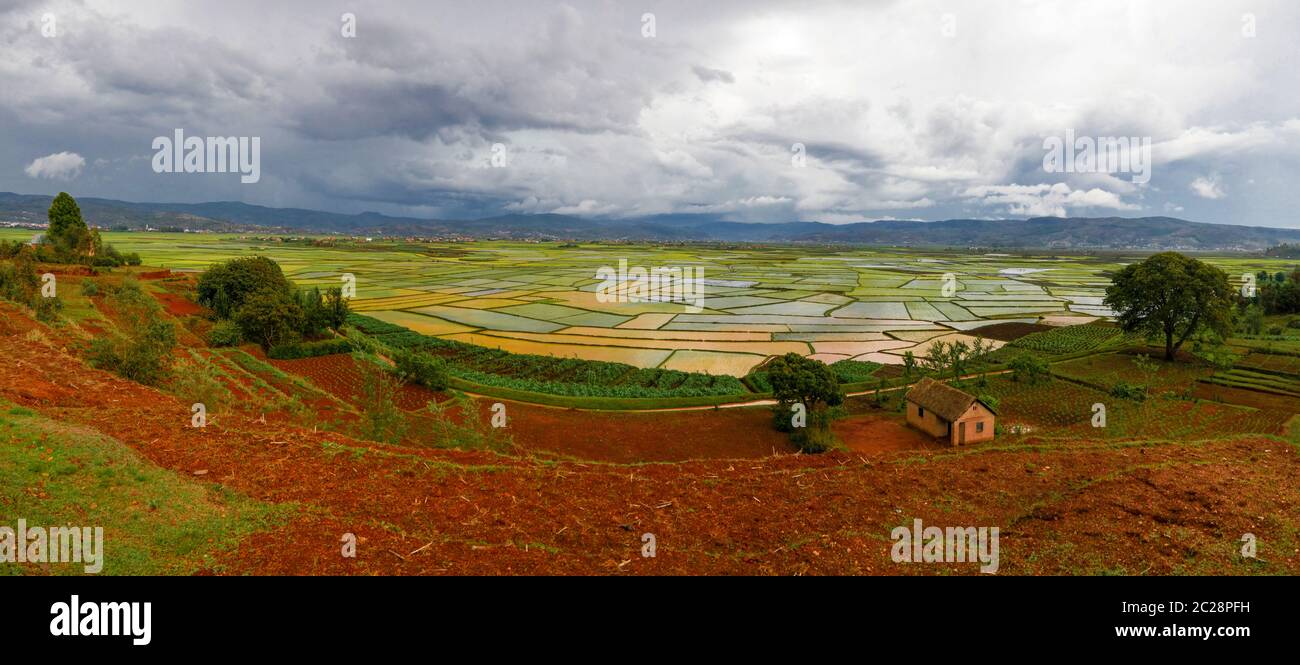 Landscape with the rice fields and Onive river at Antanifotsy ...