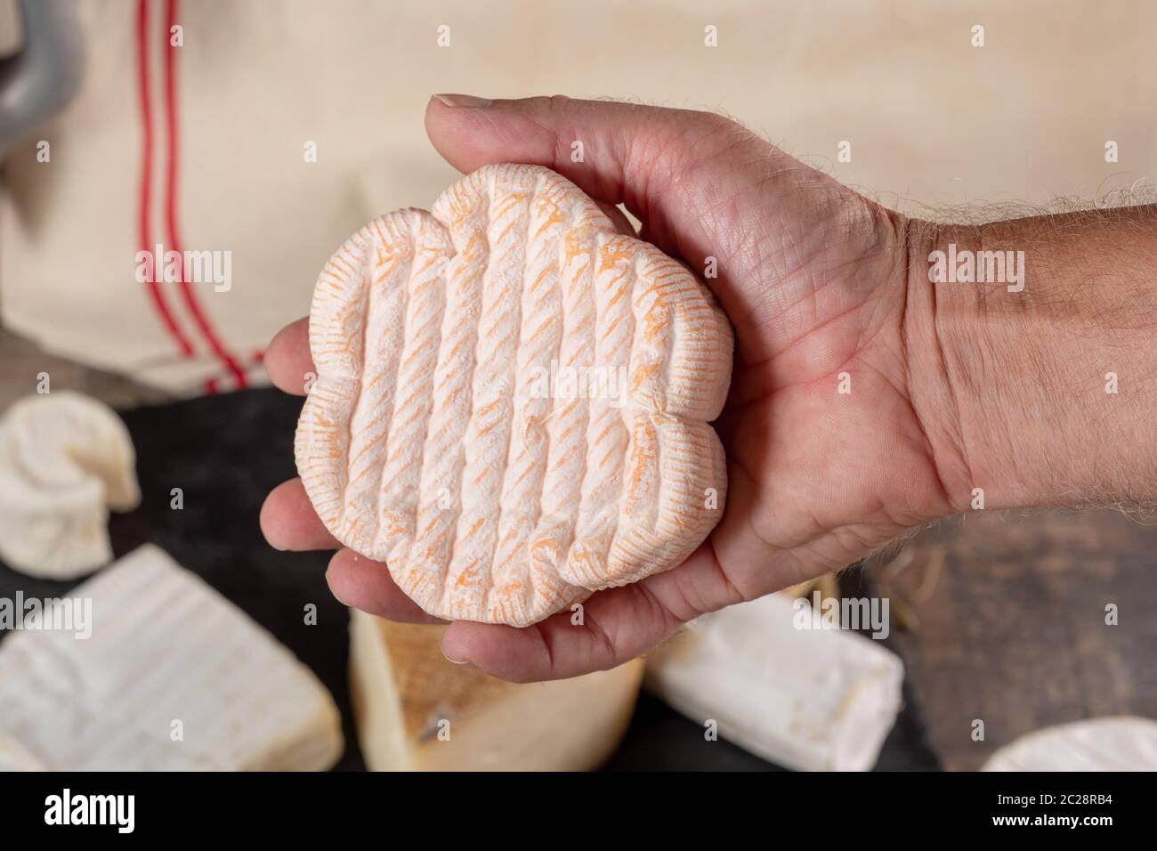 hand man holding Saint Albray cheese, a french dairy Stock Photo - Alamy