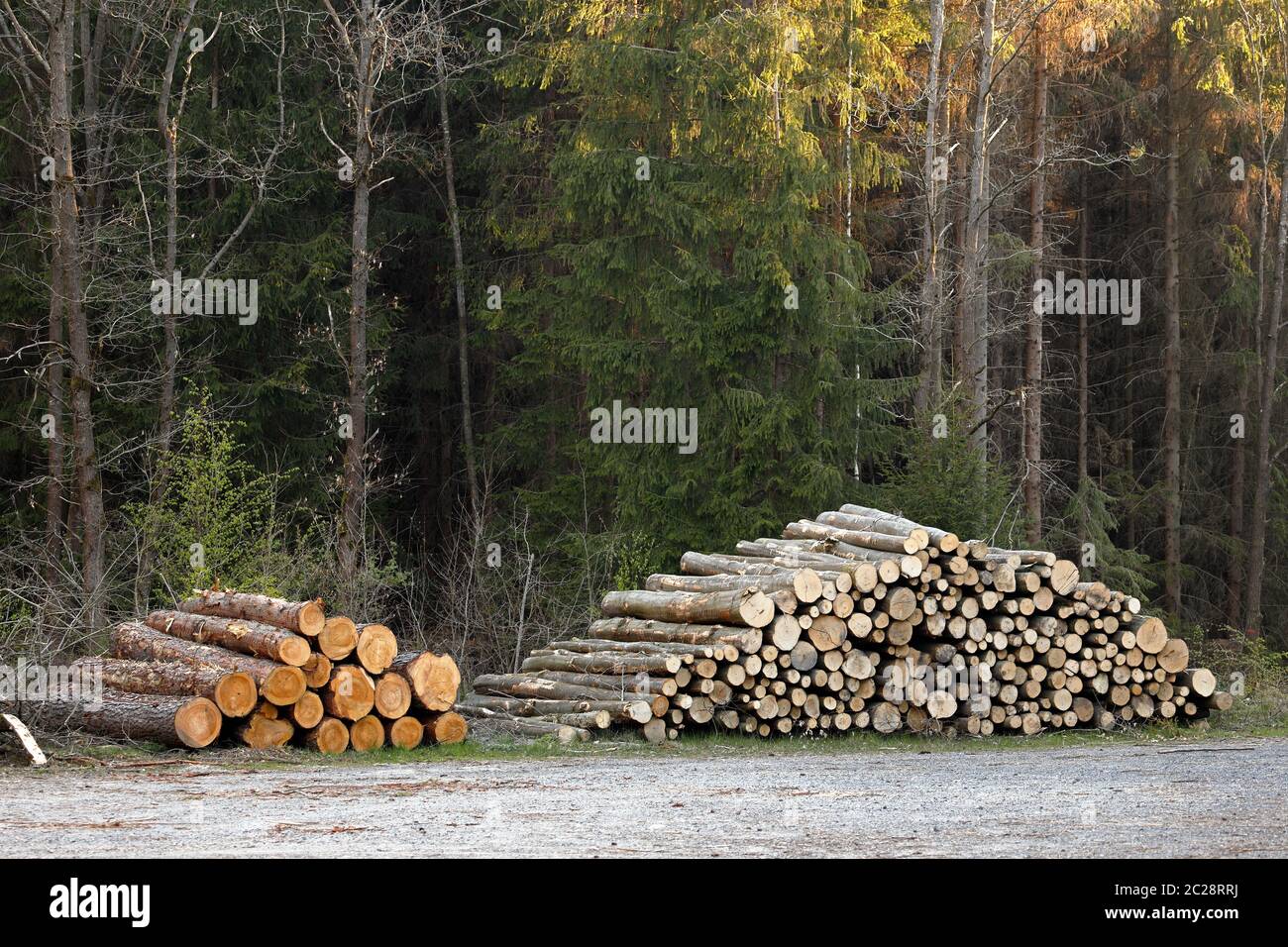 Timber pile hi-res stock photography and images - Alamy