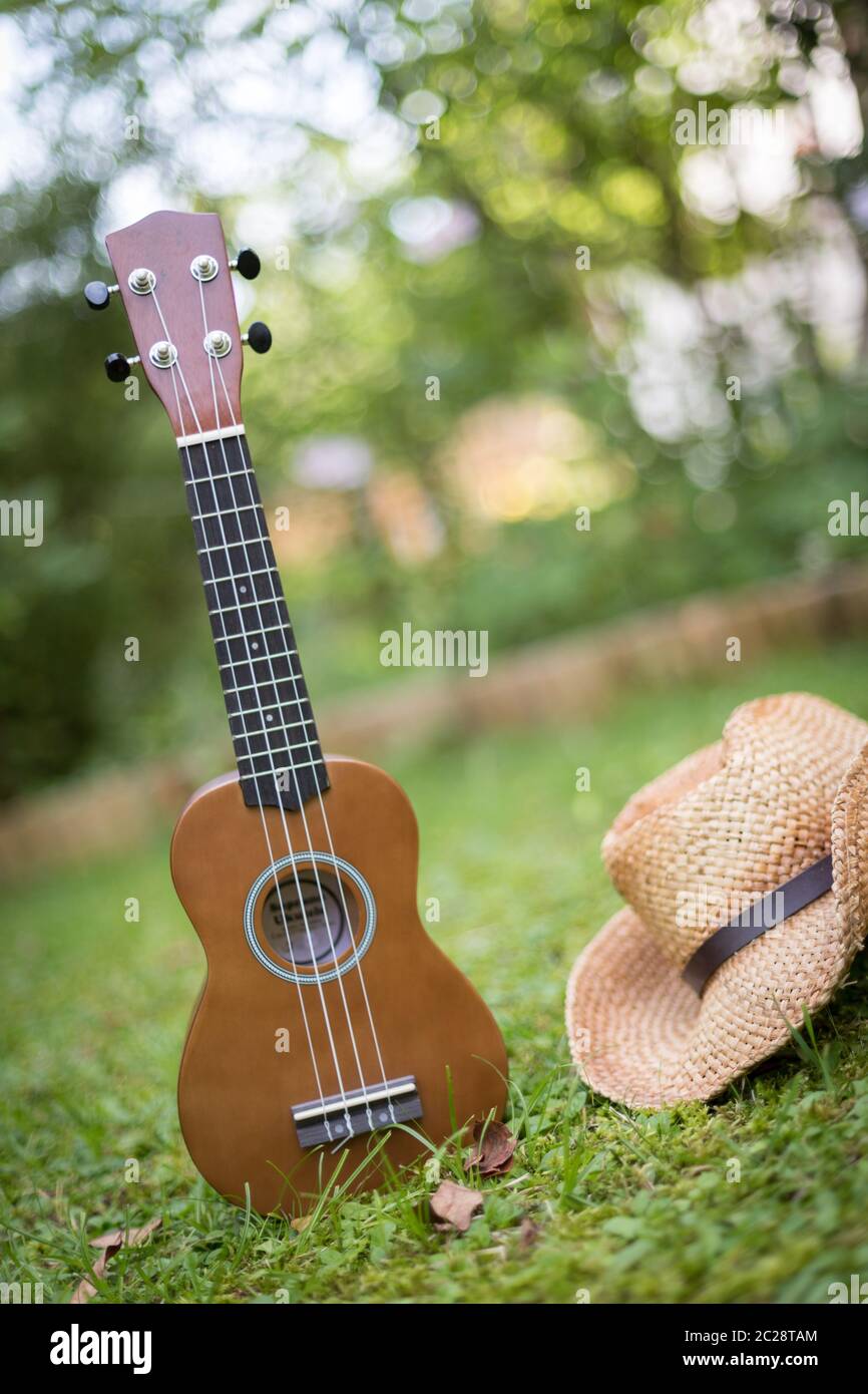 Ukulele lying grass hi-res stock photography and images - Alamy