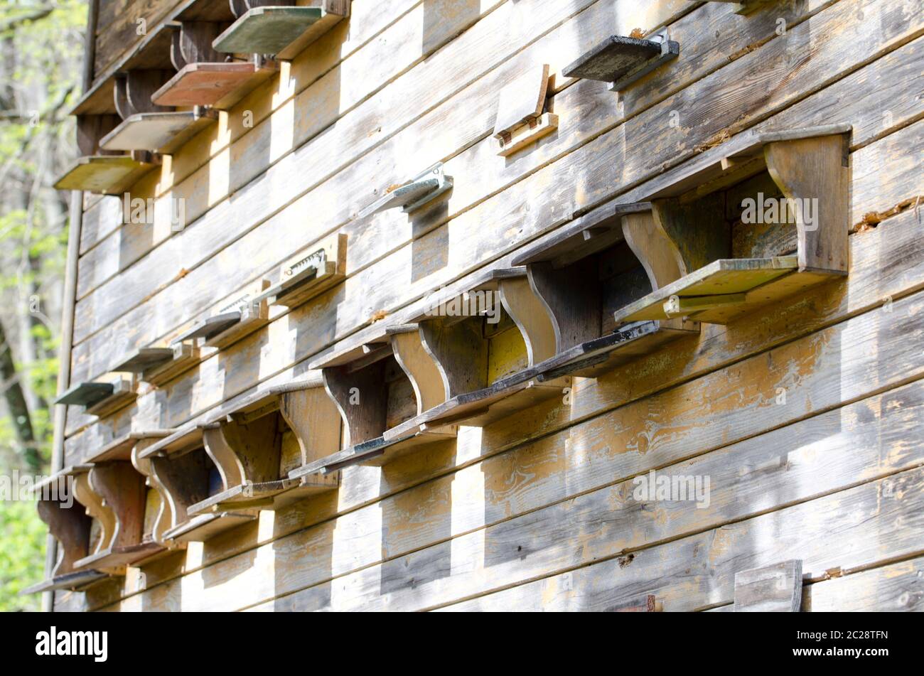 Beekeeper House in Switzerland Stock Photo - Alamy