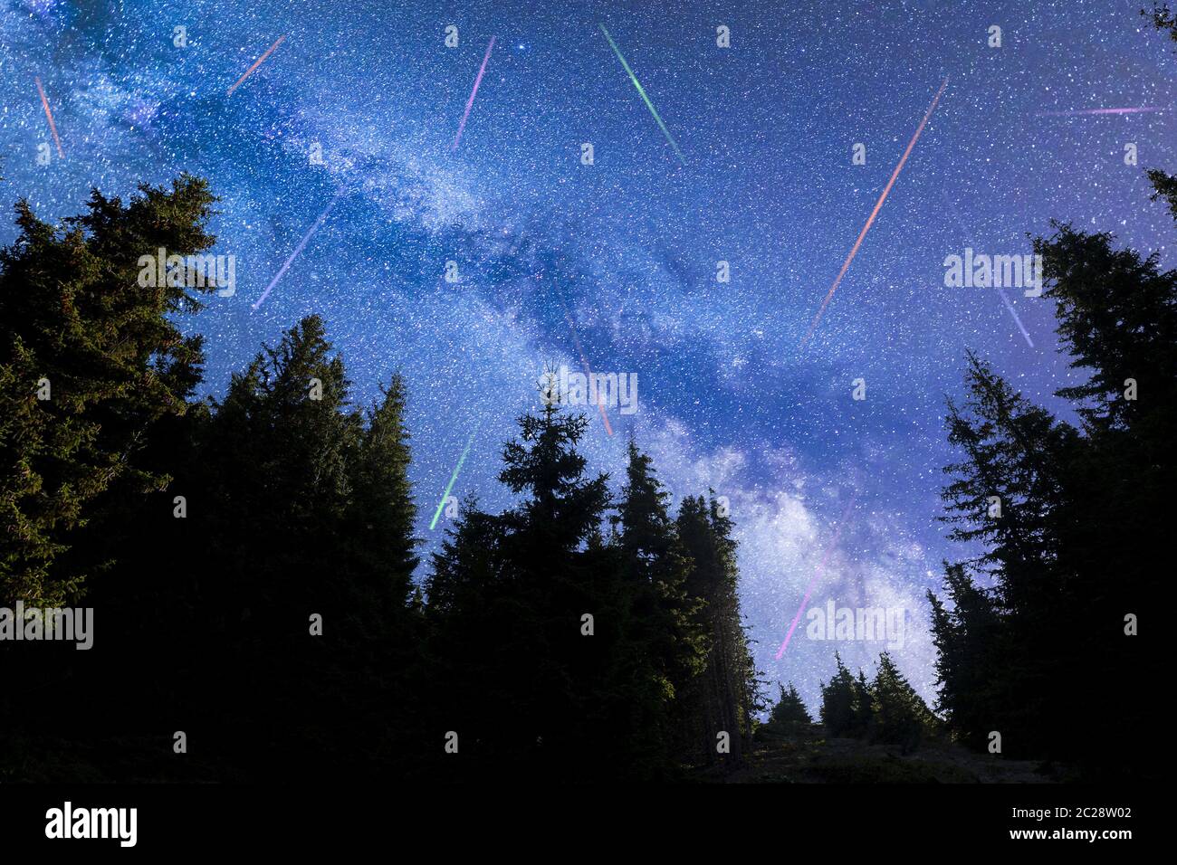 Blue Milky way falling stars pine trees silhouette Stock Photo - Alamy