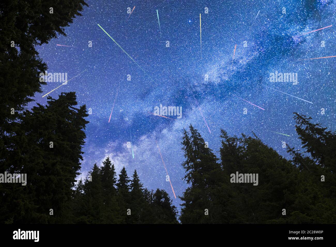Blue Milky way falling stars pine trees silhouette Stock Photo - Alamy