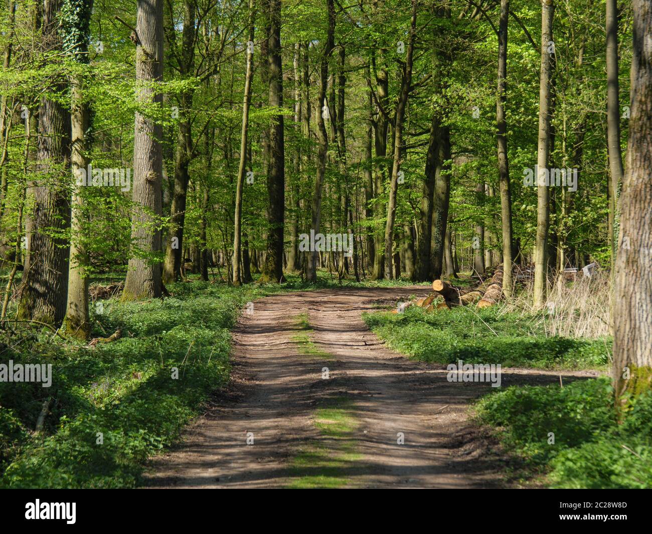 spring time in the german muensterland Stock Photo - Alamy