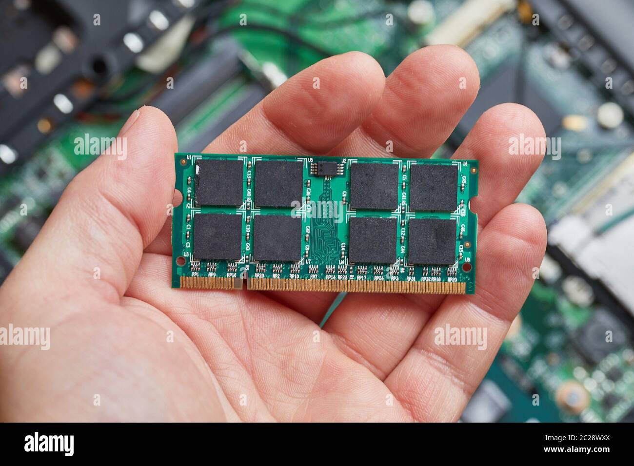 Installing memory module in a laptop computer Stock Photo - Alamy
