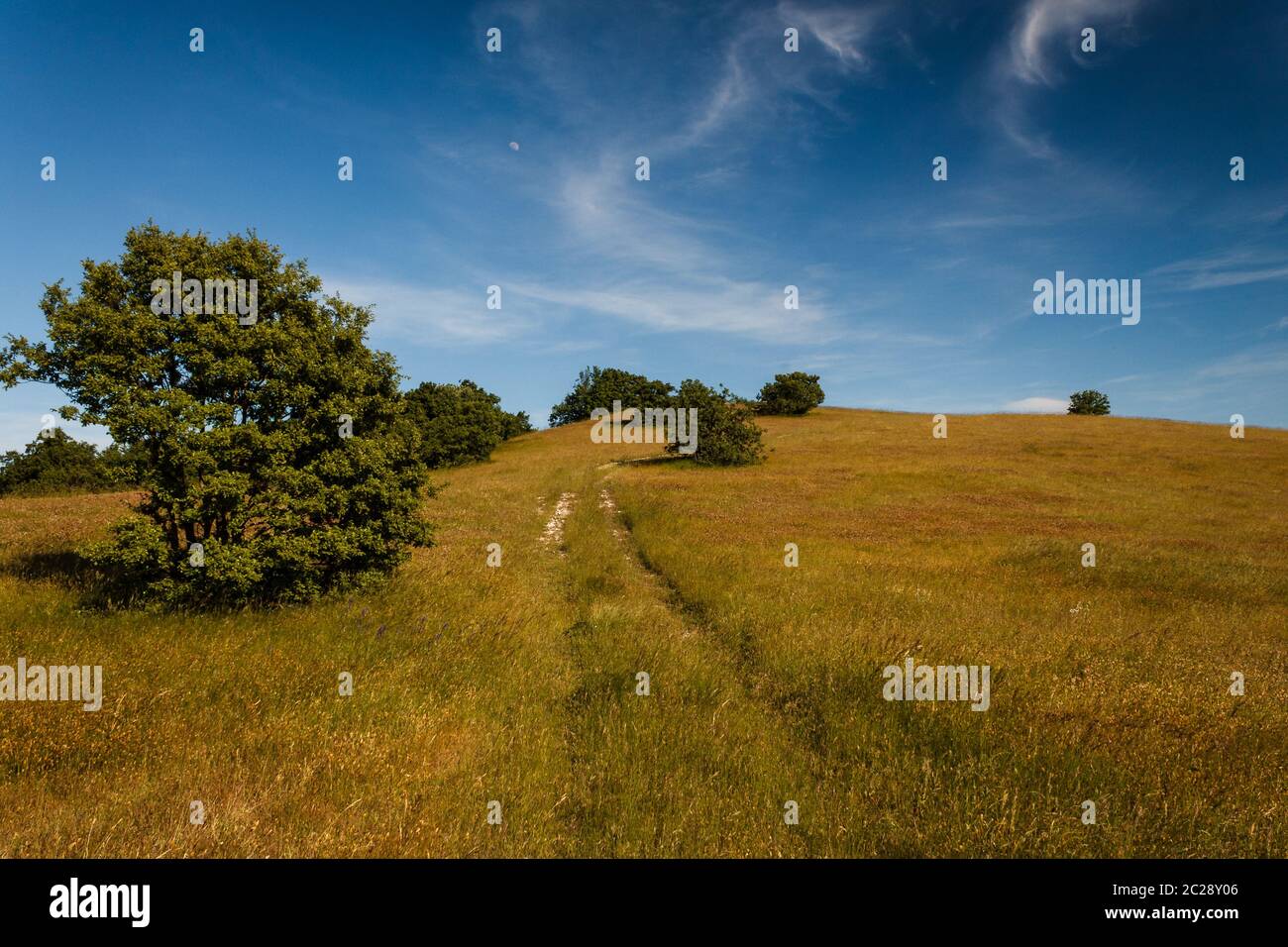Path over an hill with,tree and deep blue sky with clouds Stock Photo ...