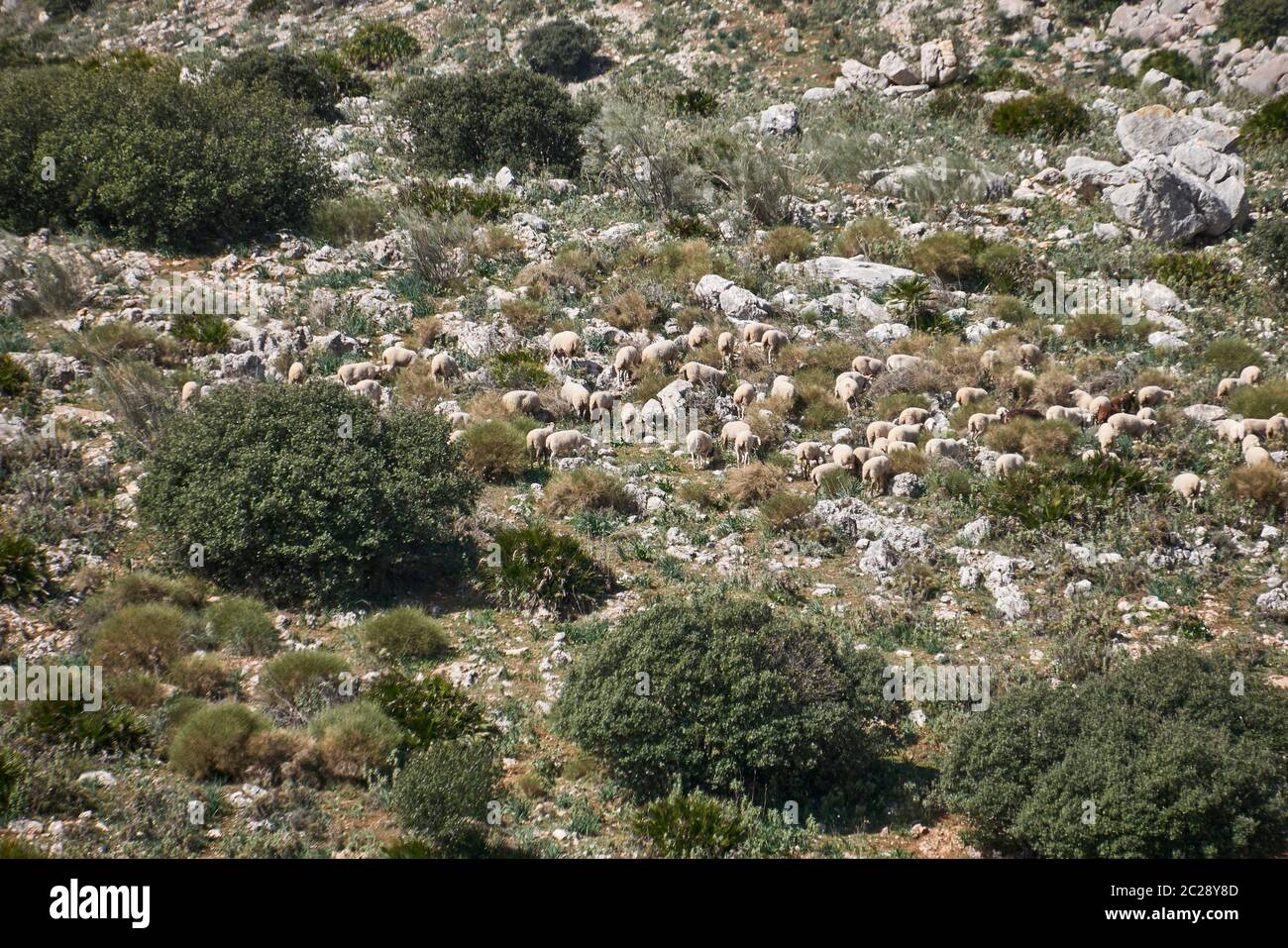 Sierra del sol hi-res stock photography and images - Alamy