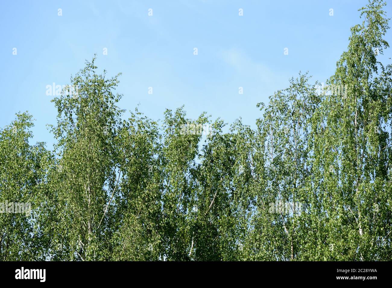 Sunshine on cloud tops hi-res stock photography and images - Alamy