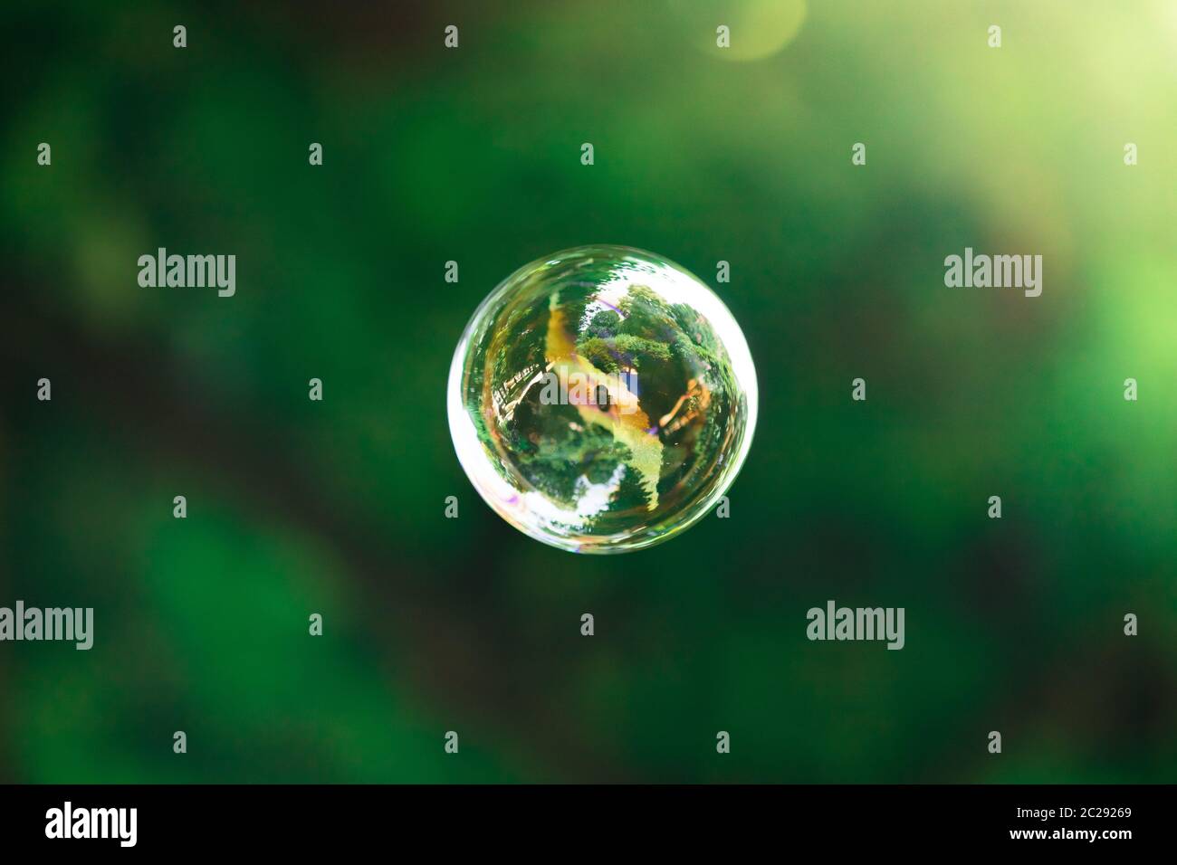 Soap bubbles floating in the air, summer time Stock Photo - Alamy