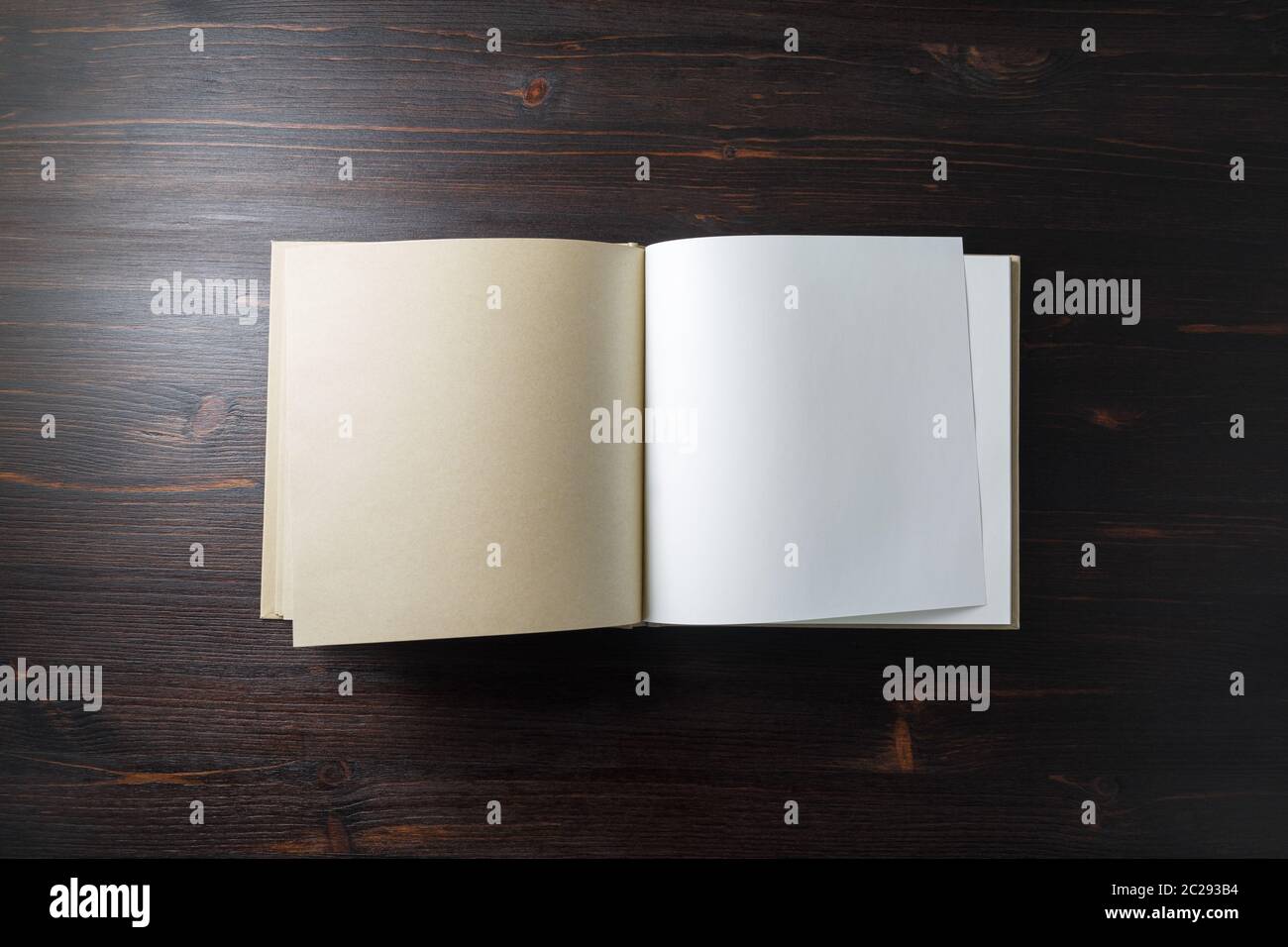 Opened blank book Stock Photo - Alamy
