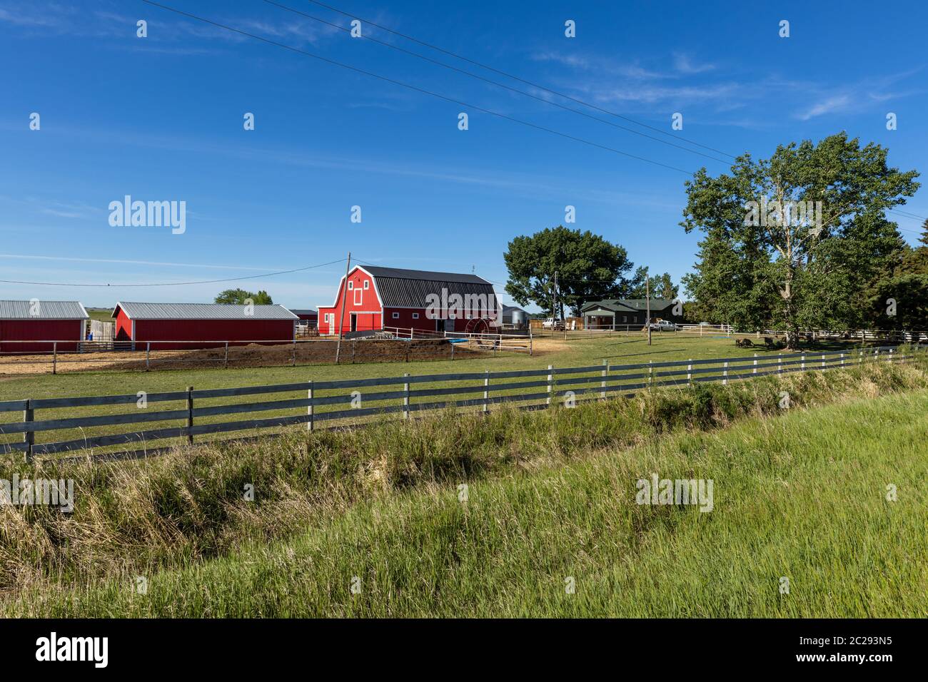 Farm and Agriculture in Alberta Canada Stock Photo - Alamy