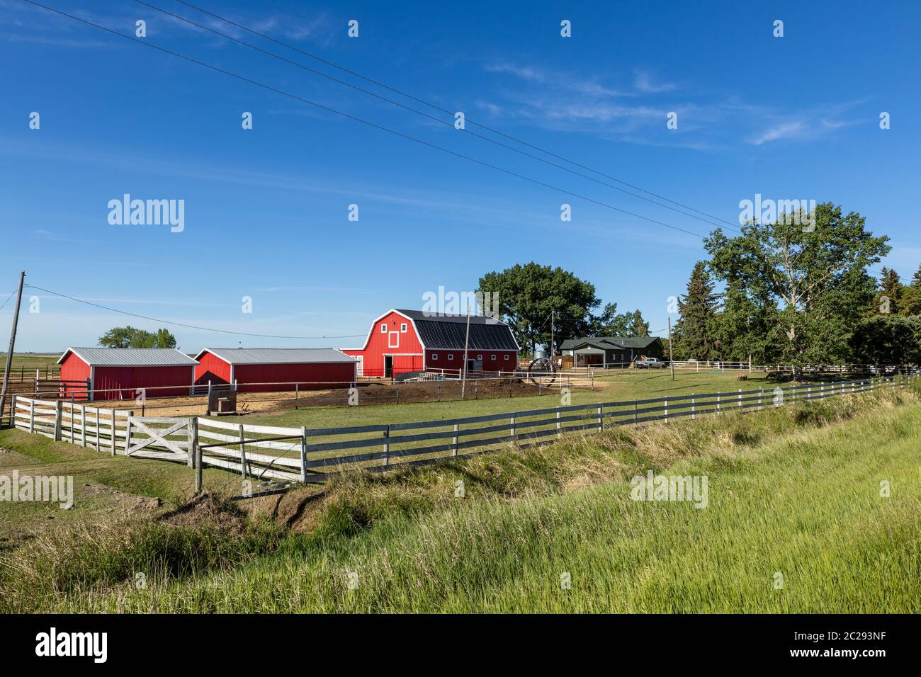 Farm and Agriculture in Alberta Canada Stock Photo - Alamy