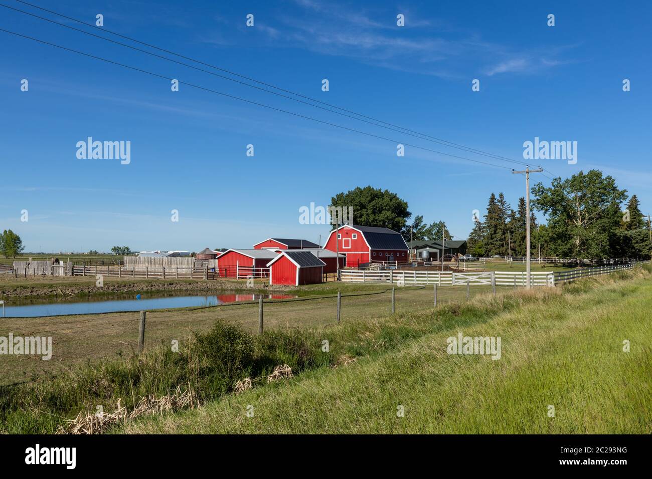 Agriculture landscape in canada green hi-res stock photography and ...