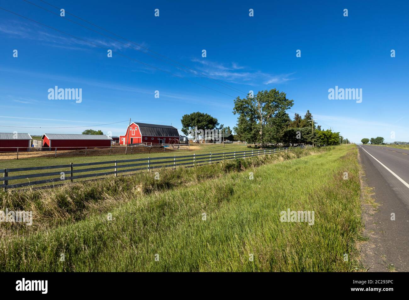 Farm and Agriculture in Alberta Canada Stock Photo - Alamy