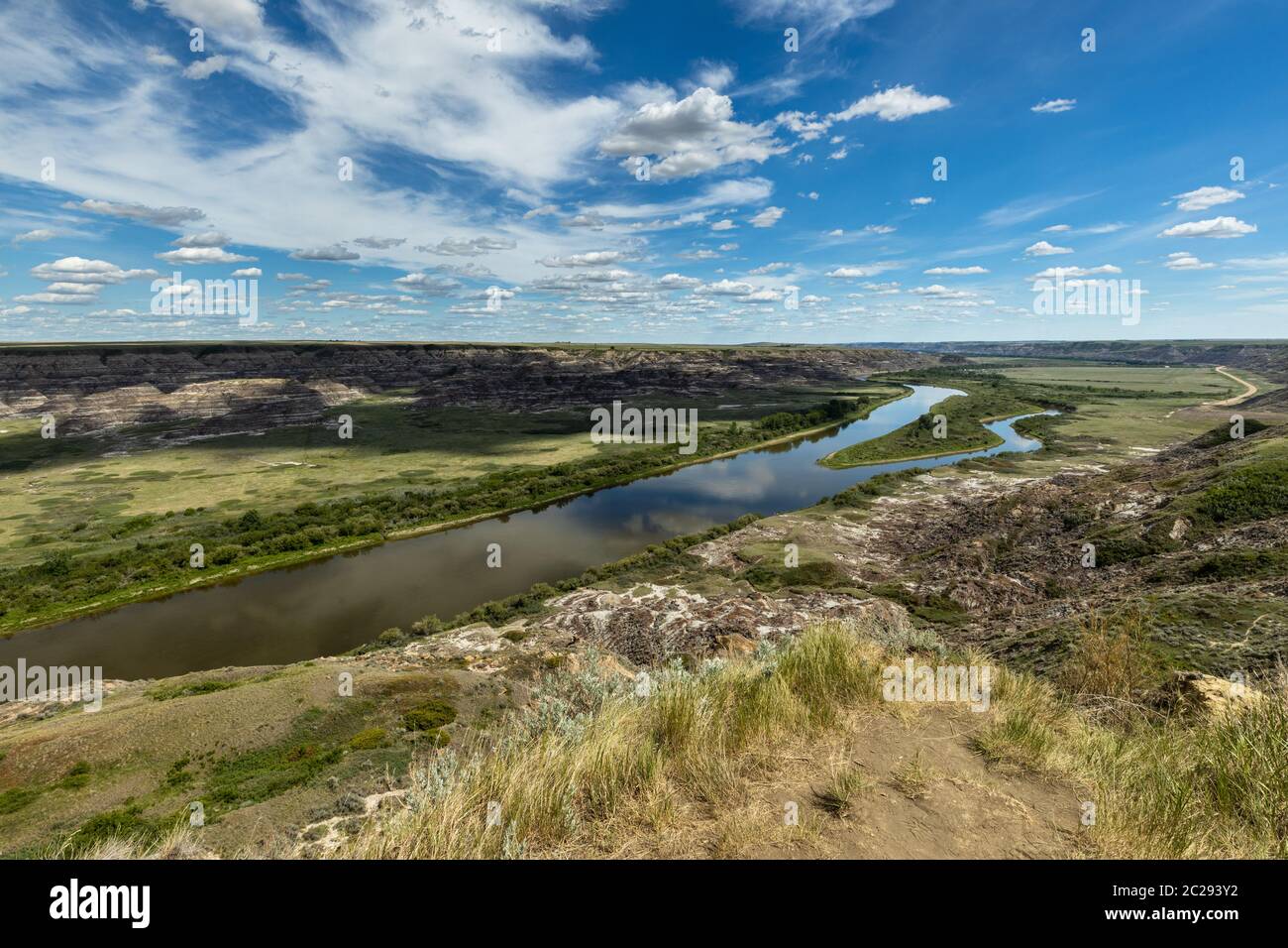 Canada red deer valley alberta hi-res stock photography and images - Alamy