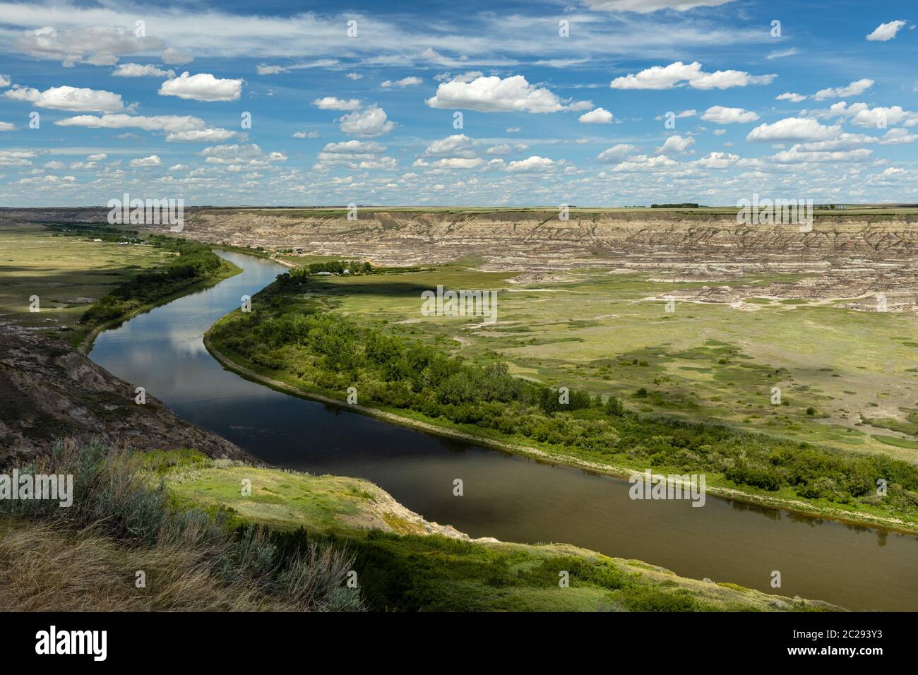 Canada red deer valley alberta hi-res stock photography and images - Alamy