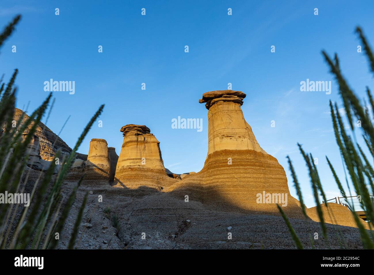 The Hoodoos of Alberta by Drumheller in Canada Stock Photo - Alamy