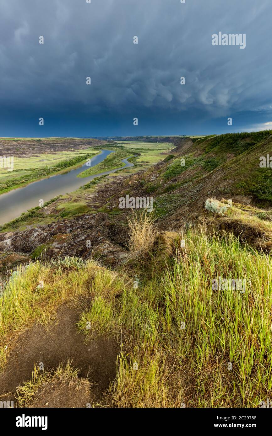 Red deer alberta aerial hi-res stock photography and images - Alamy