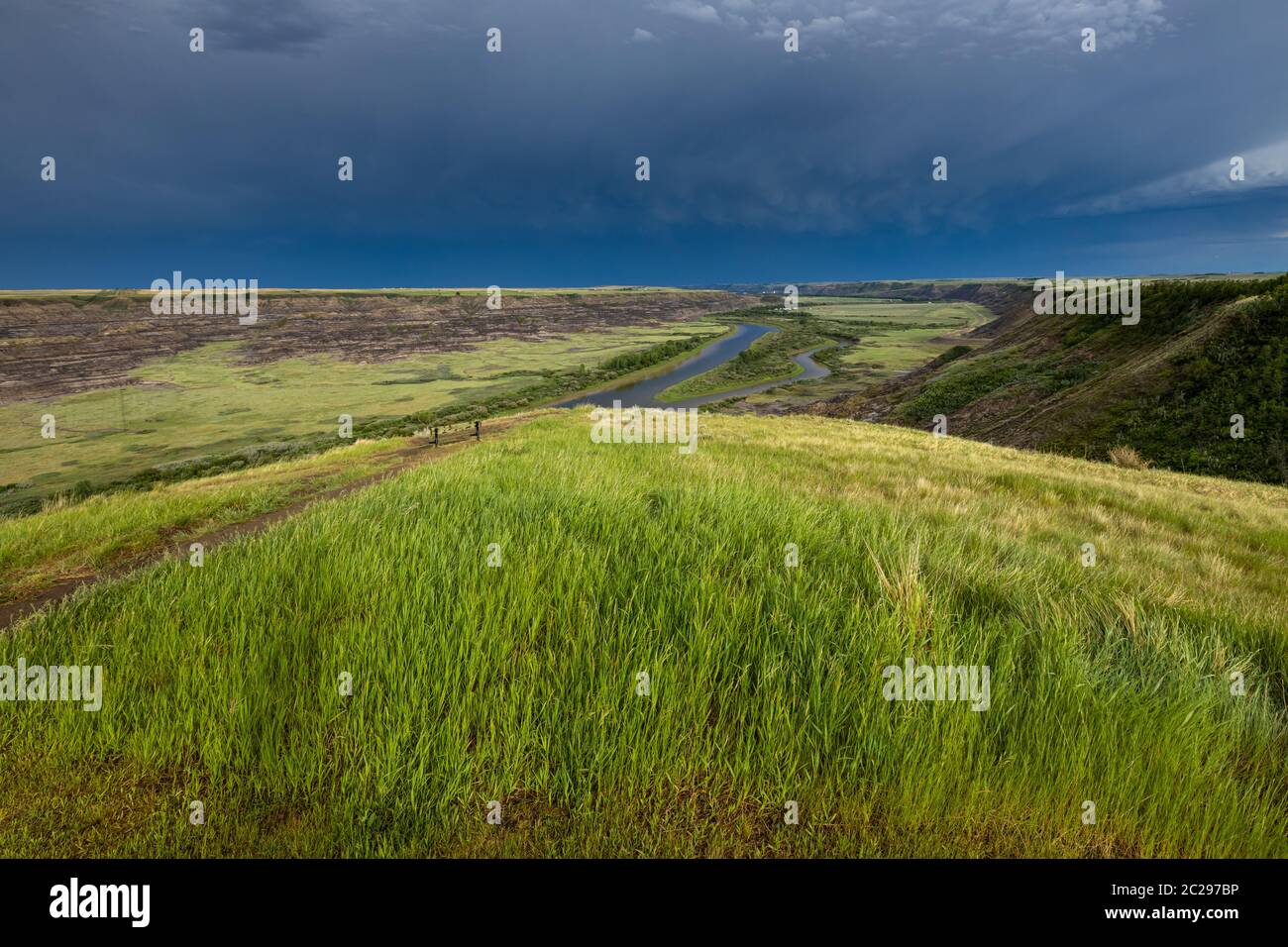 Canada red deer valley alberta hi-res stock photography and images - Alamy