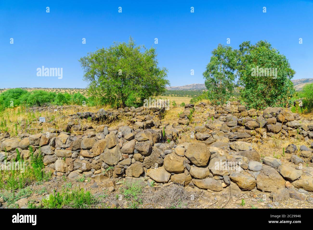 Bethsaida hi-res stock photography and images - Alamy