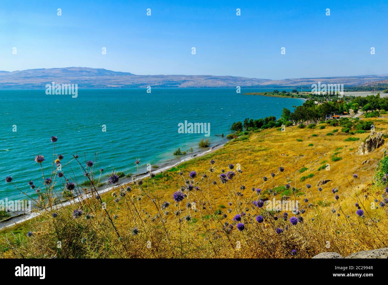 Sea level lake hi-res stock photography and images - Alamy