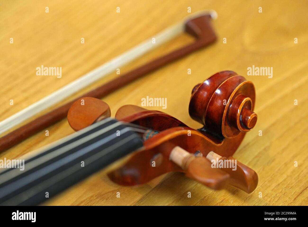 Violin snail and violin bow Stock Photo - Alamy