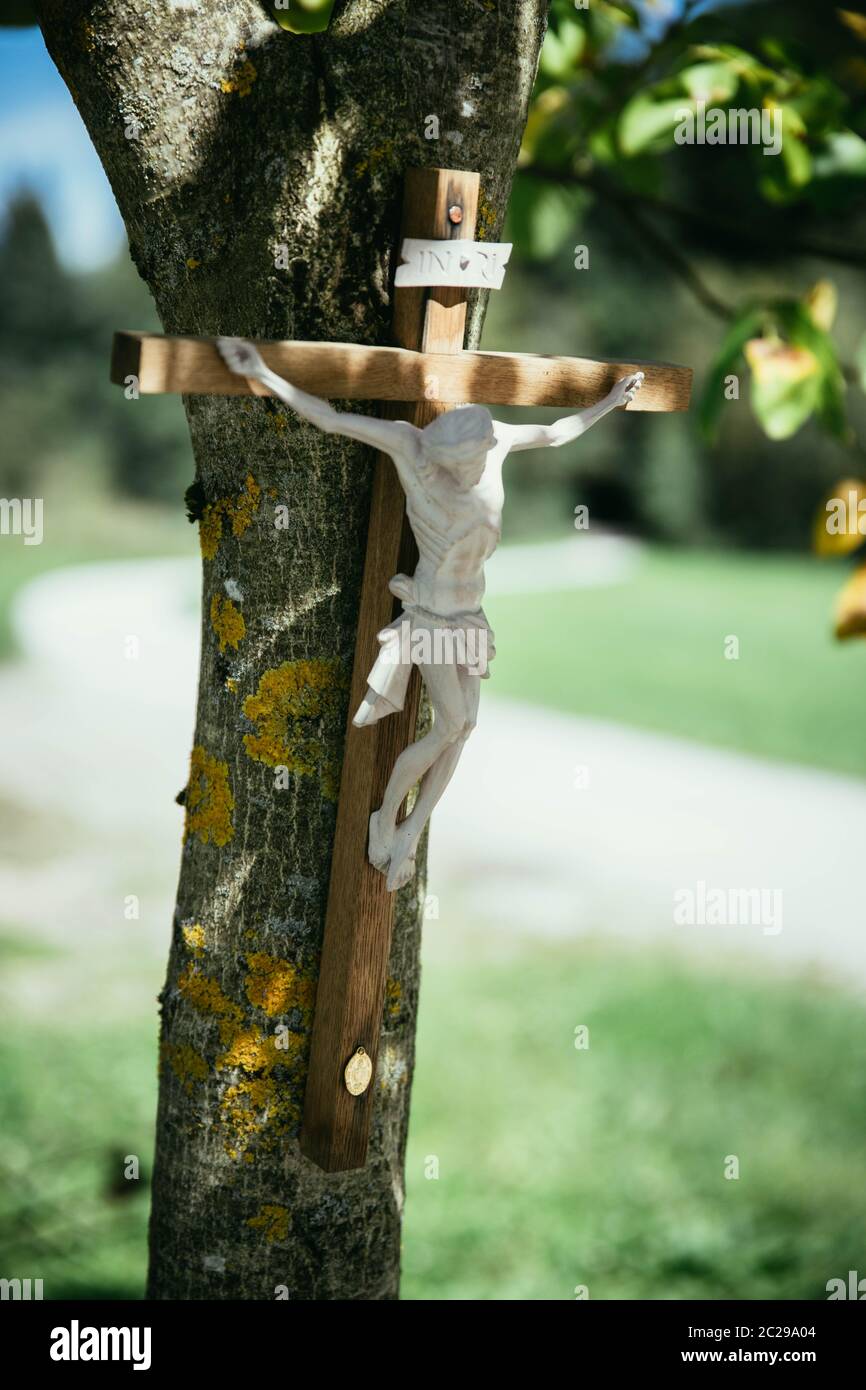 Crucifix on a tree, outdoors, jesus christ Stock Photo - Alamy