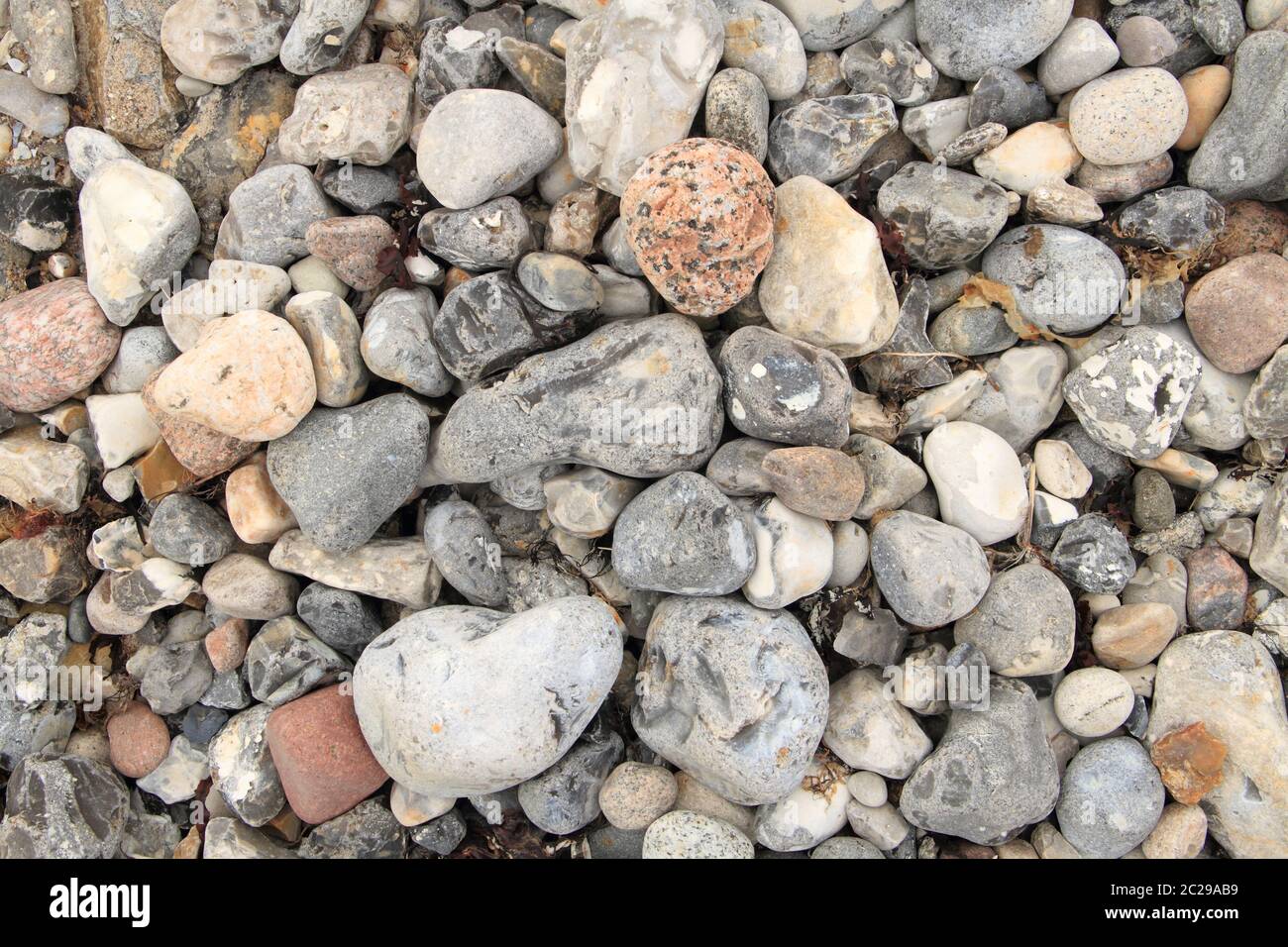 colorful pebbles on the beach Stock Photo - Alamy