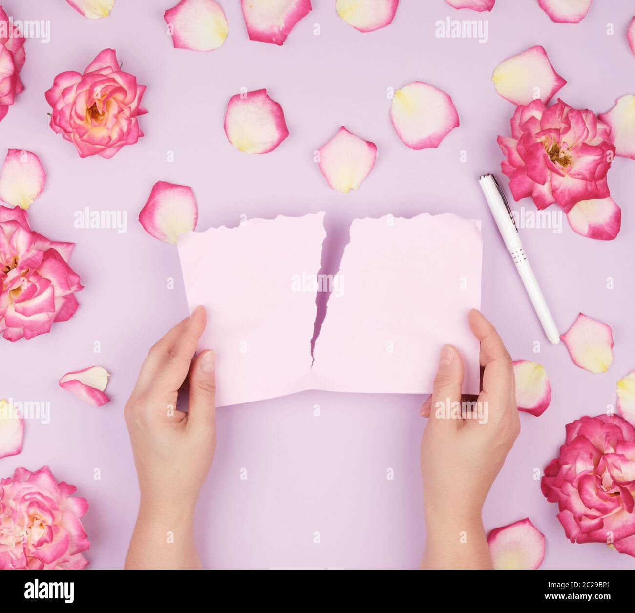 two hands hold an empty pink sheet torn from a notebook and tear it ...