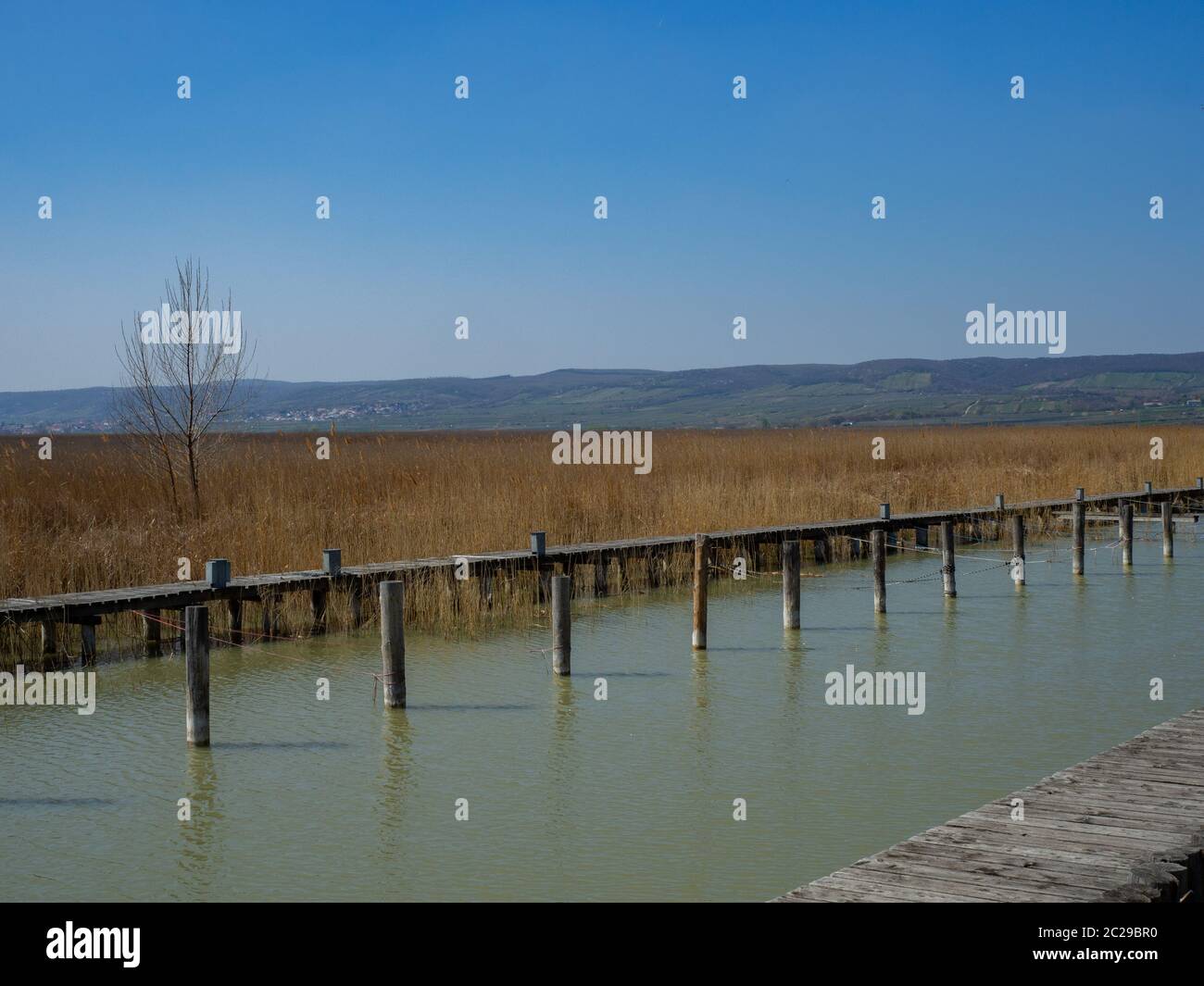 A timber jetty hi-res stock photography and images - Alamy