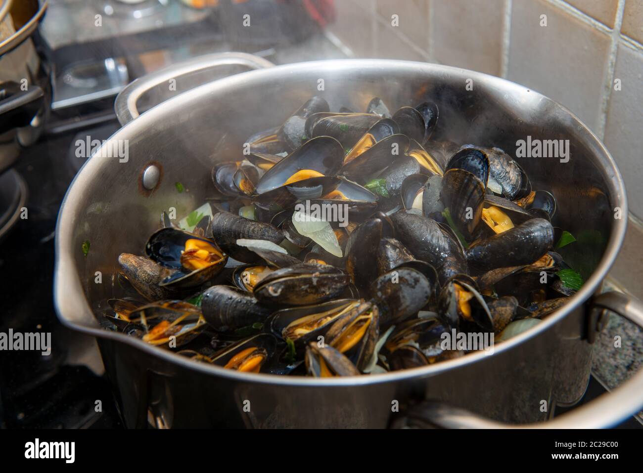 a closeup of mussels in cooking pot Stock Photo - Alamy
