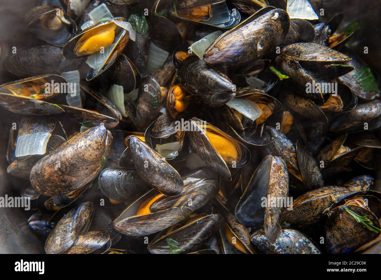 a closeup of mussels in cooking pot Stock Photo - Alamy