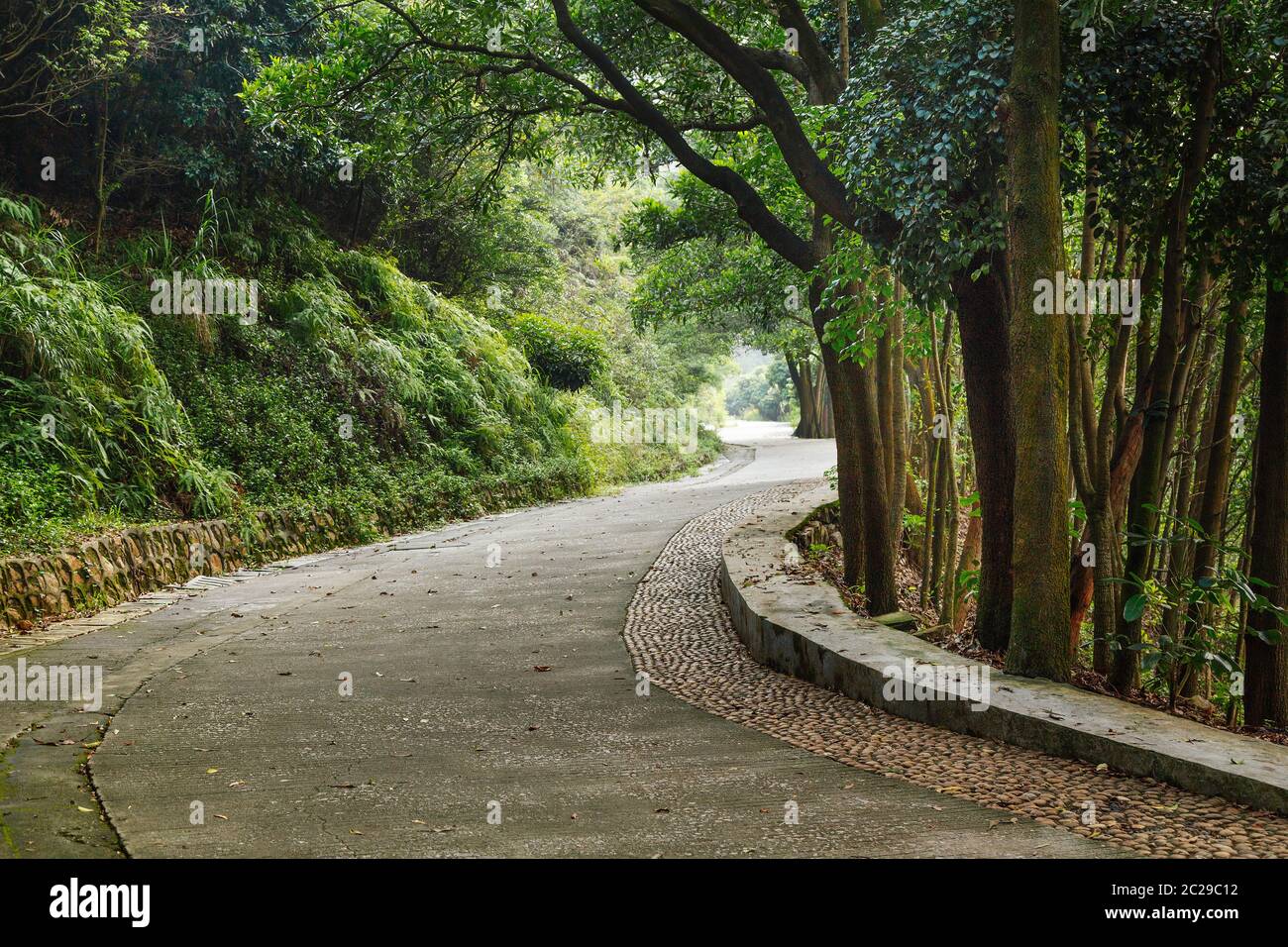 stone winding path in the park among bushes and trees Stock Photo - Alamy
