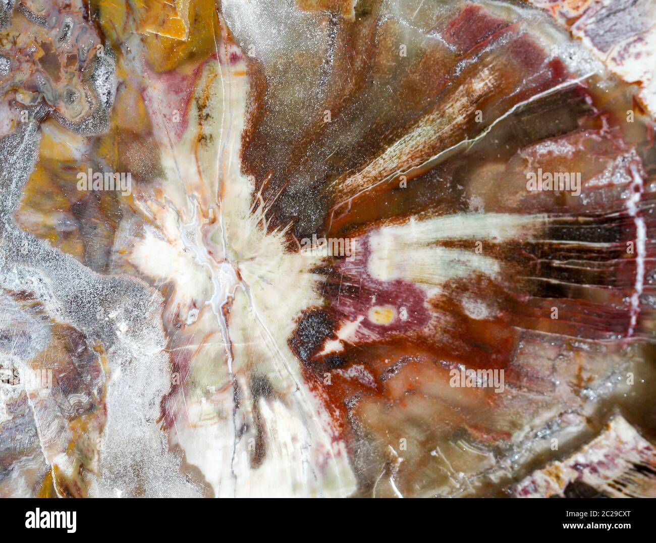 gemstones, shells and semi-precious stones with beautiful colors Stock ...