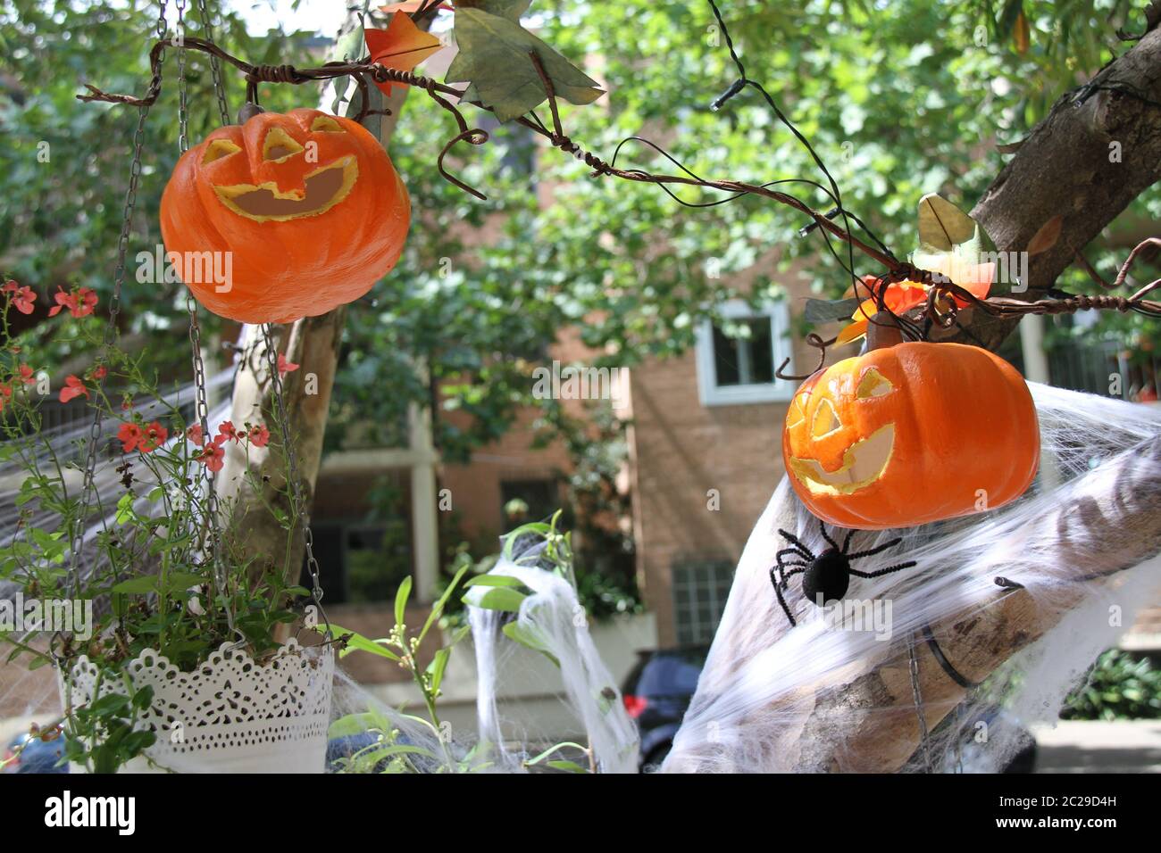 Pumpkins and spiders’ webs decorate a tree outside a business in Harley ...