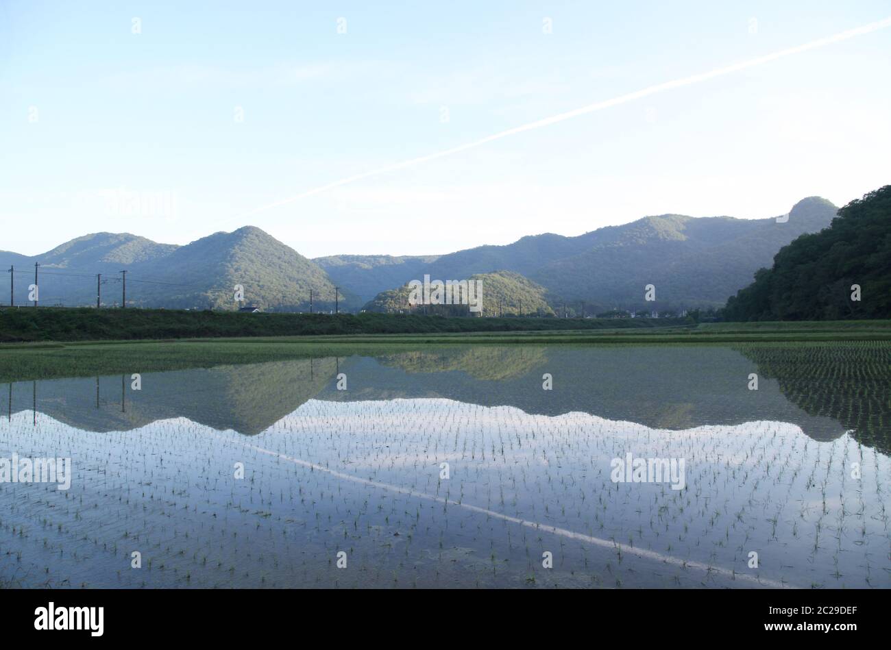 Rice field mountain reflection hi-res stock photography and images - Alamy