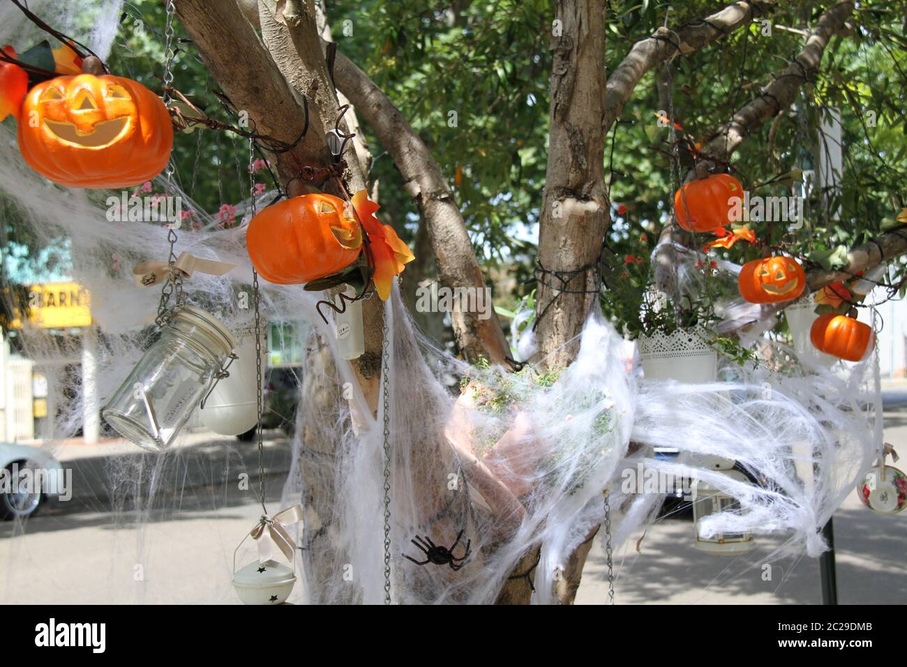 Pumpkins and spiders’ webs decorate a tree outside a business in Harley ...