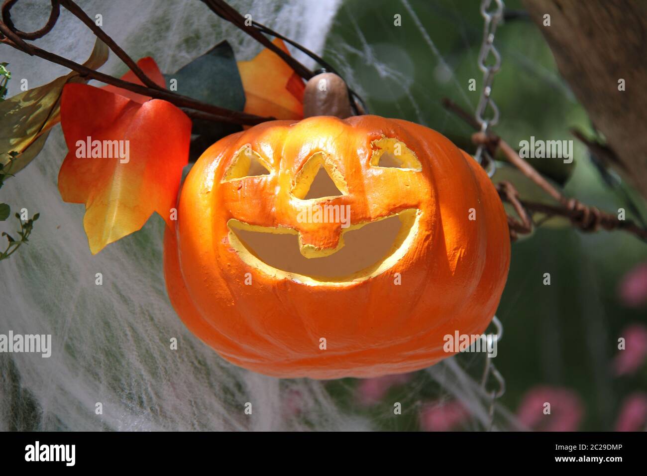 Pumpkins and spiders’ webs decorate a tree outside a business in Harley ...