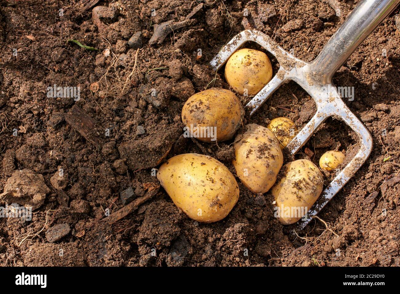 Farmer digging spade hand tool hi-res stock photography and images - Alamy