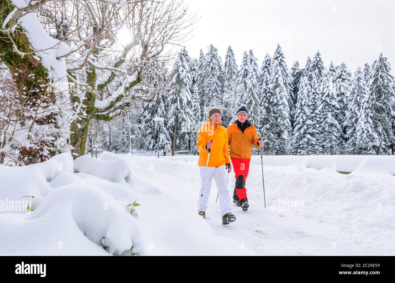 Elder couple doing nordic walking session in snow Stock Photo - Alamy