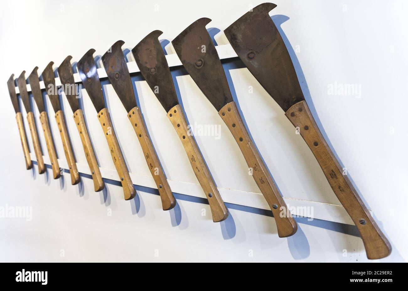 Old machete for cutting down of a sugar cane Stock Photo - Alamy